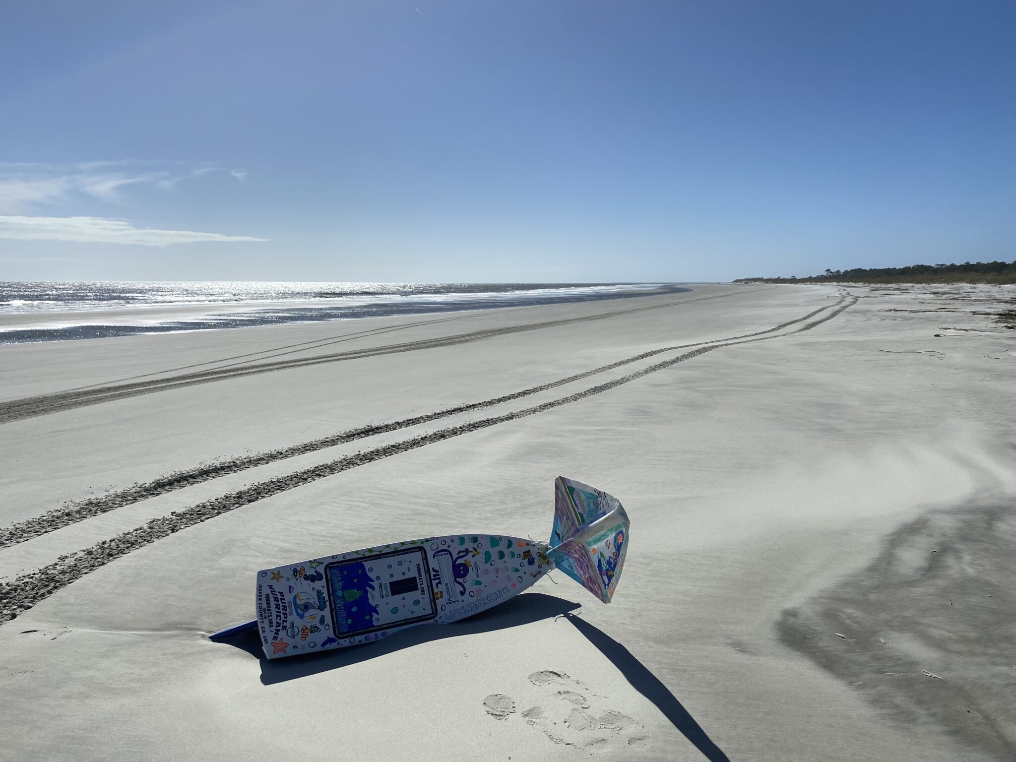 Purple Hurricane – Educational Passages